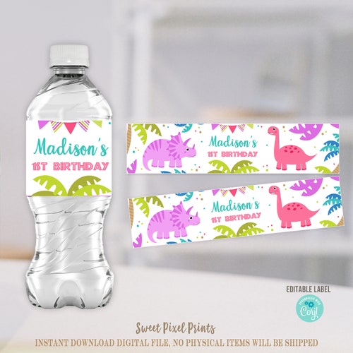 EDITABLE Dinosaur Bottle Label T-rex Dinosaur Water Labels - Etsy