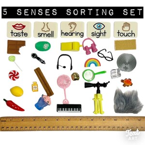 Five Senses Sorting Activity, 5 Senses Miniature Object Set, Hands-on ...