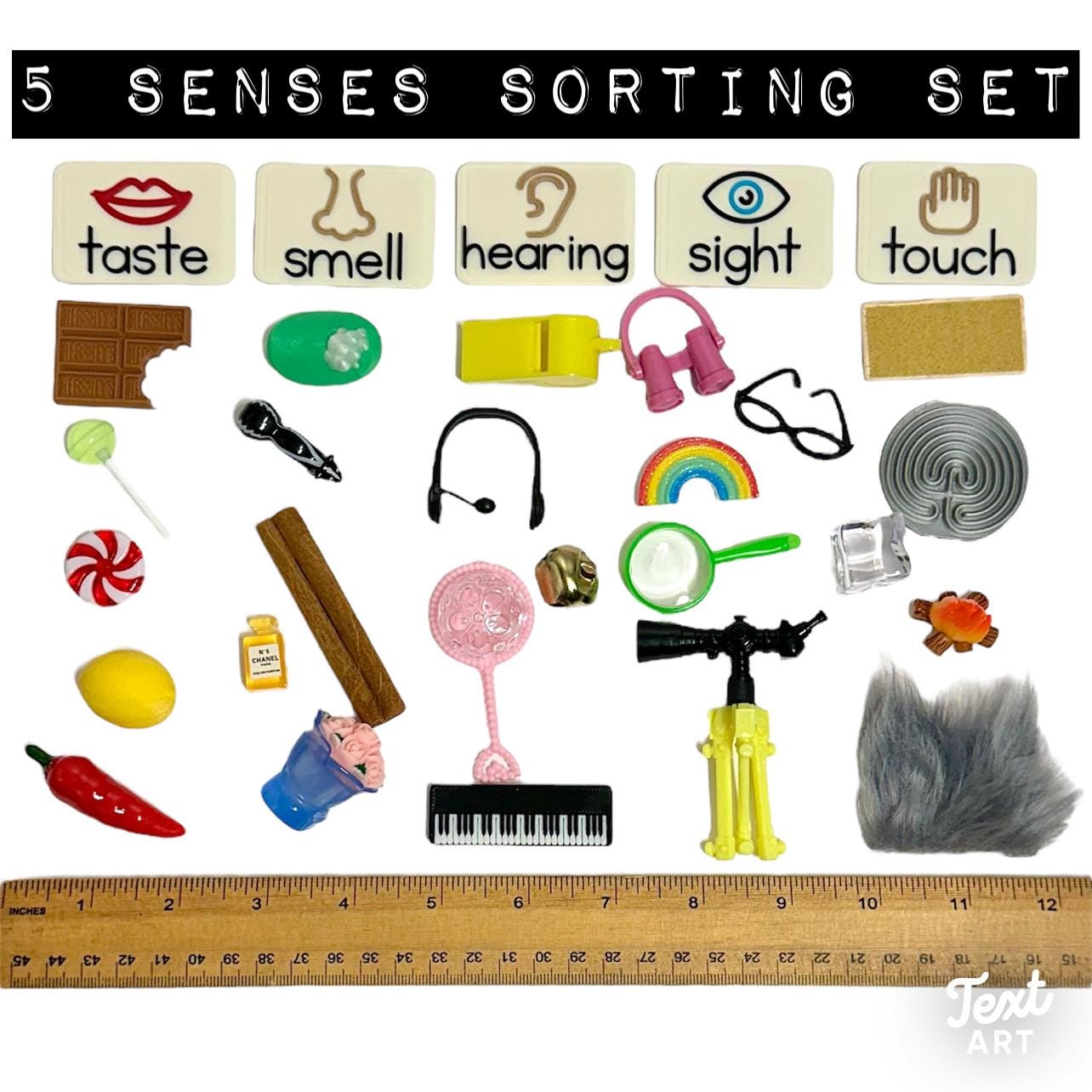 Five Senses Sorting Activity, 5 Senses Miniature Object Set, Hands-on ...