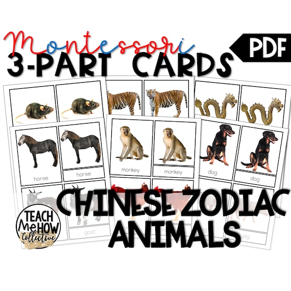 CHINESE ZODIAC ANIMALS Holiday Photo Flashcards | Etsy