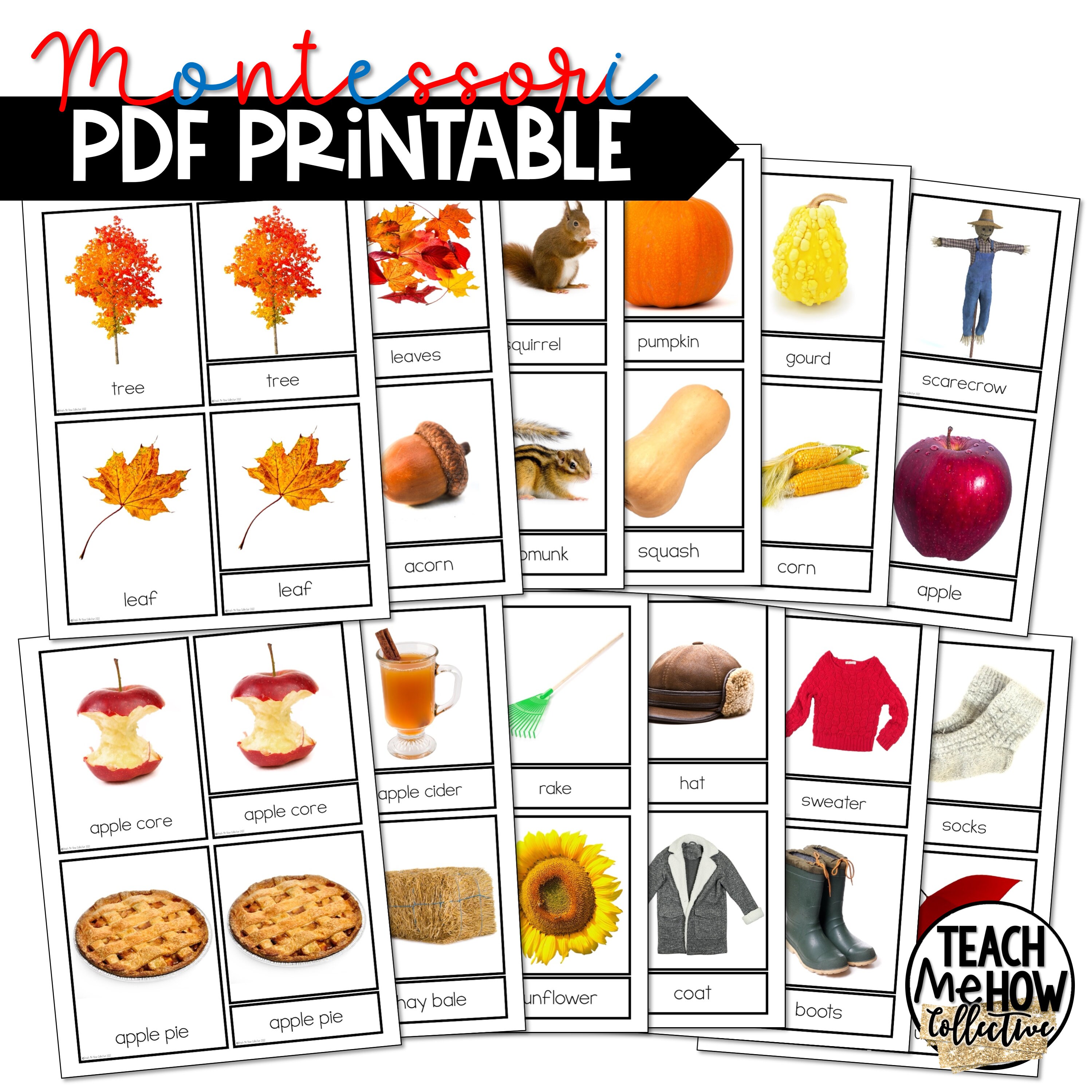 FALL AUTUMN Flashcards, Montessori Style 3 Part Cards, Photo Flashcards ...