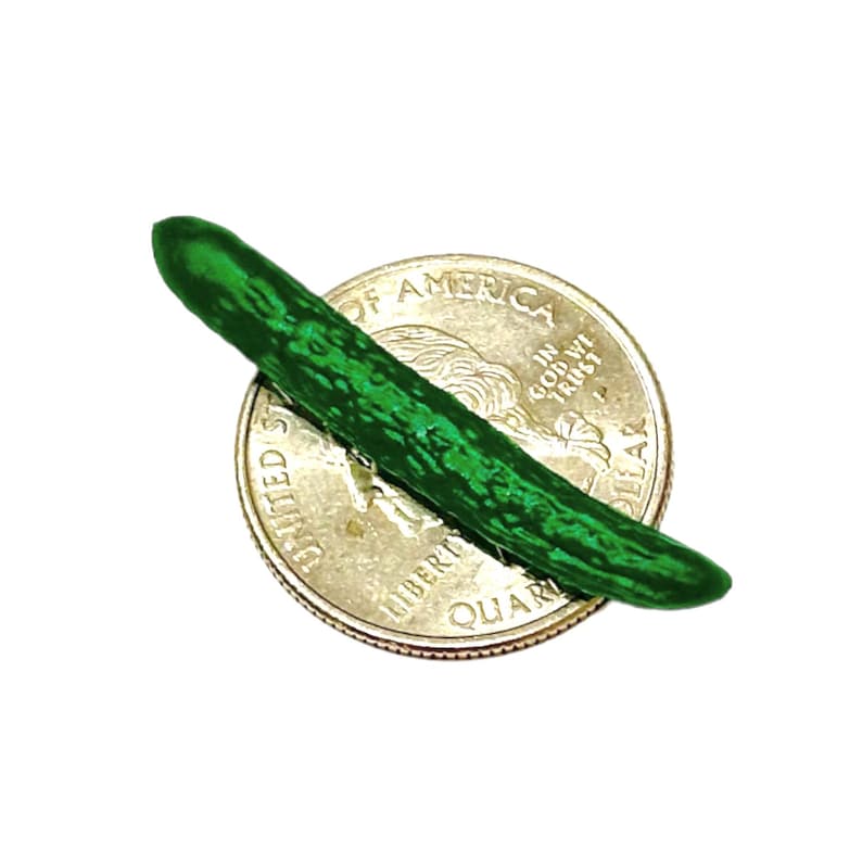CUCUMBER Miniature for Dollhouse, Mini PICKLE Vegetable, Miniature for ...