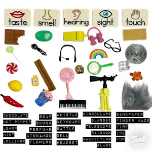 Five Senses Sorting Activity, 5 Senses Miniature Object Set, Hands-on ...