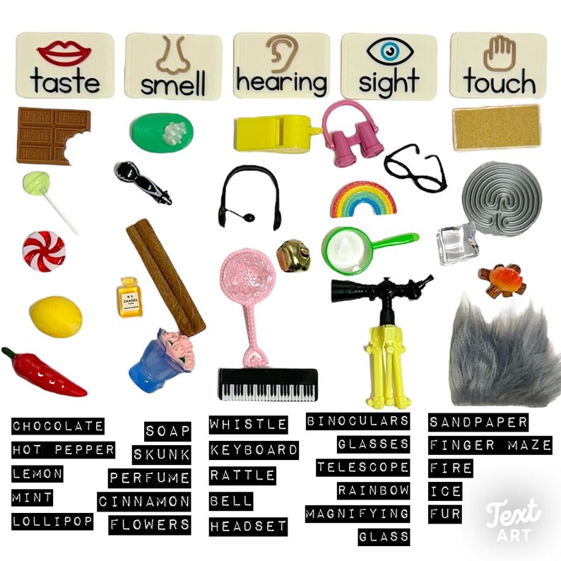 Five Senses Sorting Activity, 5 Senses Miniature Object Set, Hands-on ...