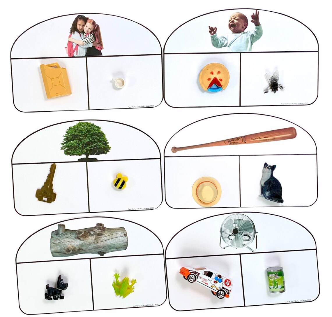 Rhyming Match Mats & REAL Objects Set 1 Learning Activity | Etsy Denmark