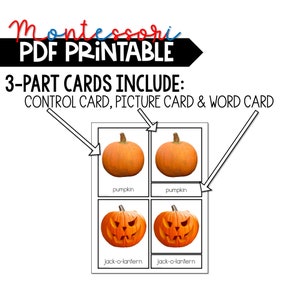 HALLOWEEN, October, Photo Flashcards, Montessori Style 3 Part Cards ...