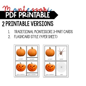 HALLOWEEN, October, Photo Flashcards, Montessori Style 3 Part Cards ...
