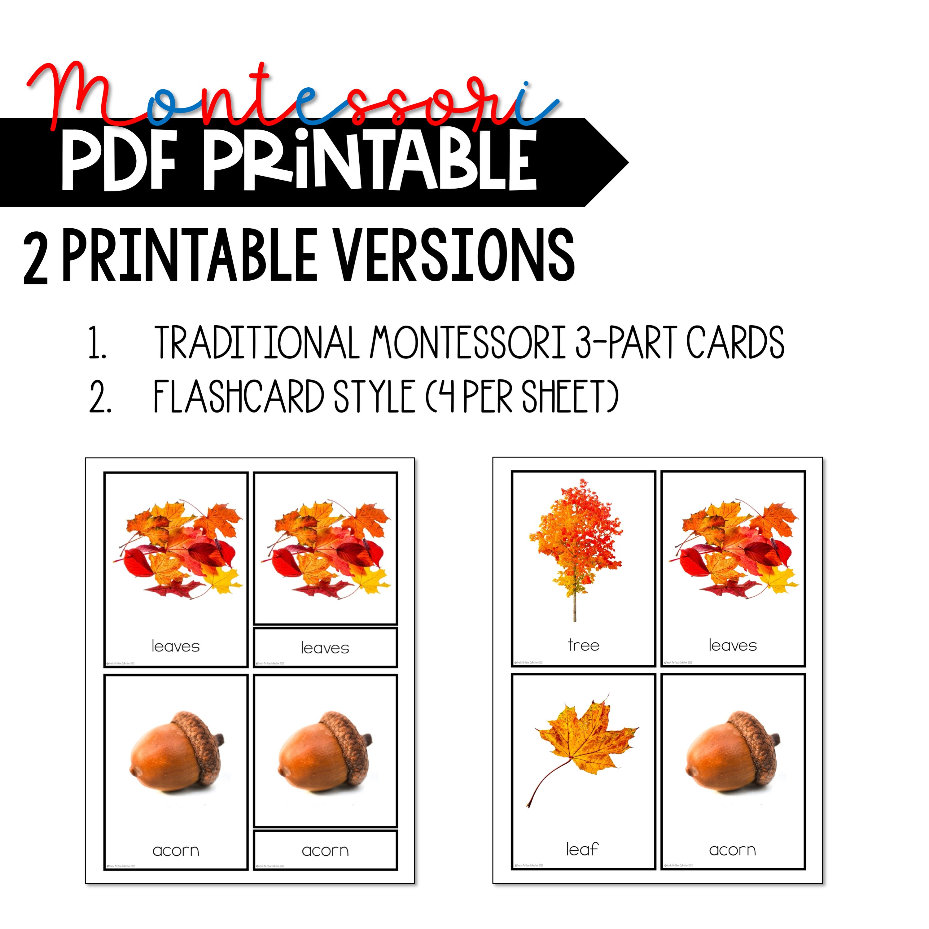 FALL AUTUMN Flashcards, Montessori Style 3 Part Cards, Photo Flashcards ...