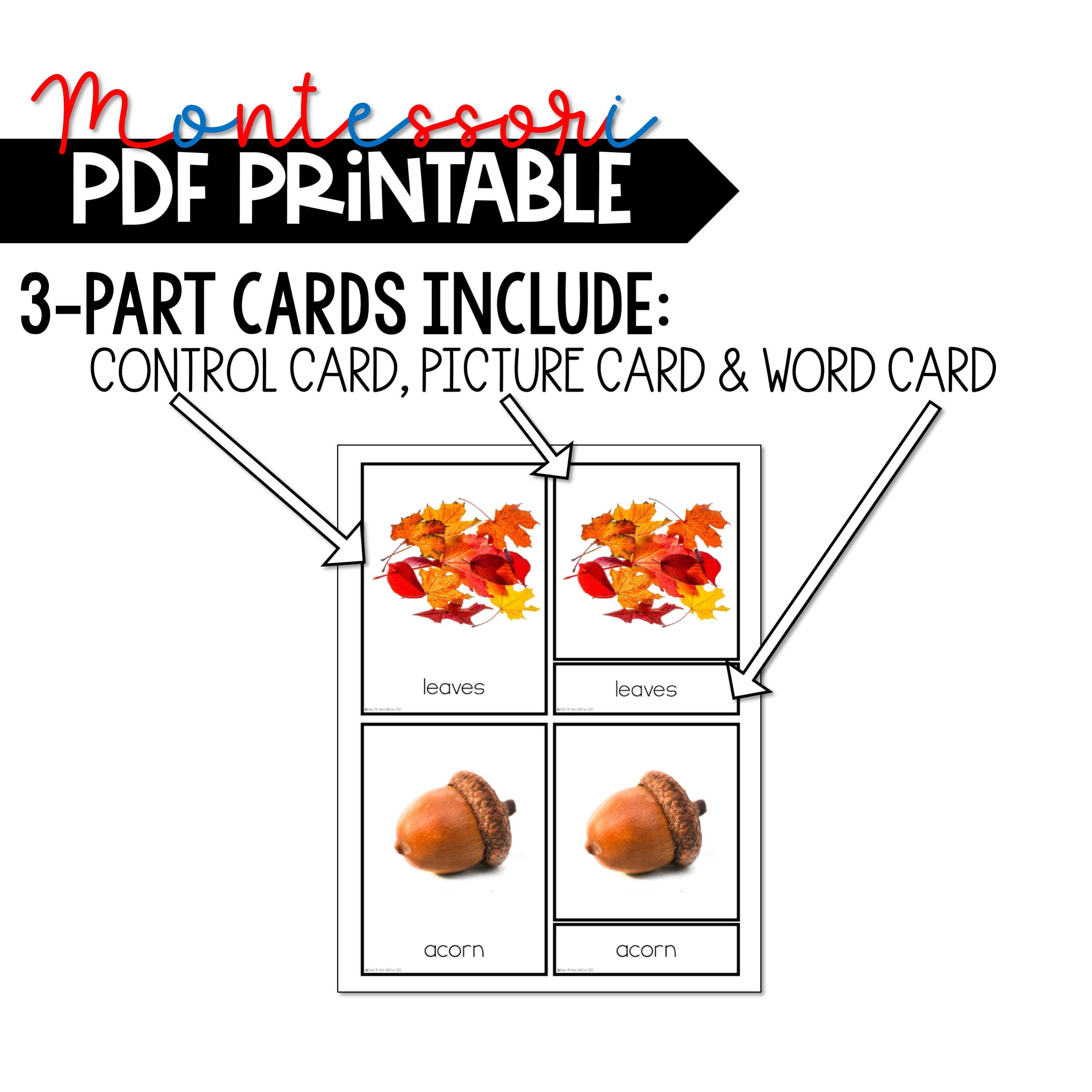 FALL AUTUMN Flashcards, Montessori Style 3 Part Cards, Photo Flashcards ...