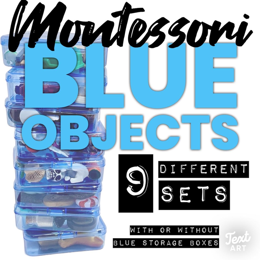 Montessori Phonetic Language Object Sets, Blue Series Miniatures, 10 ...