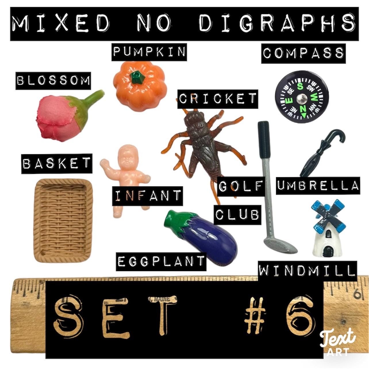 Montessori Phonetic Language Object Sets, Blue Series Miniatures, 10 ...