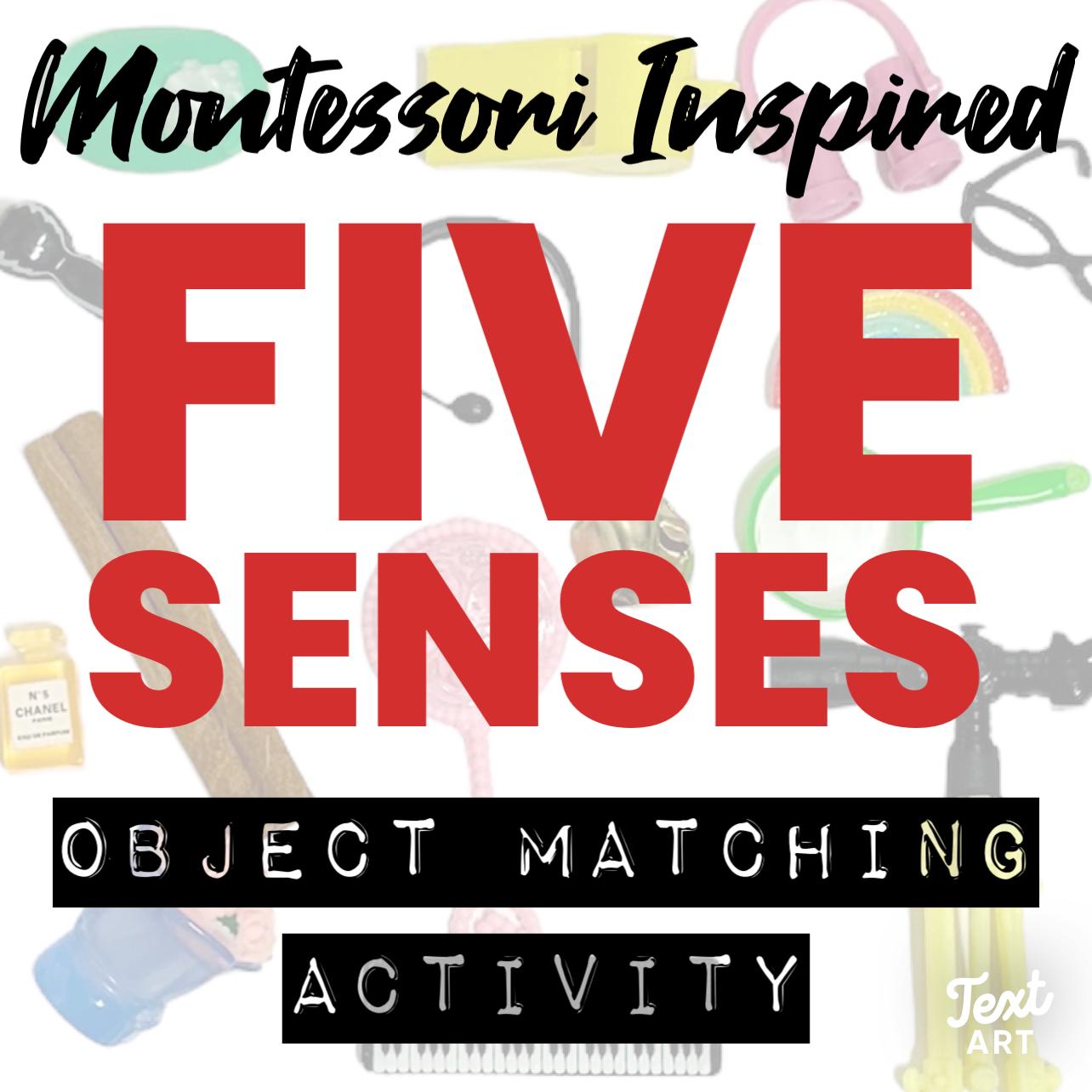 Five Senses Sorting Activity, 5 Senses Miniature Object Set, Hands-on ...