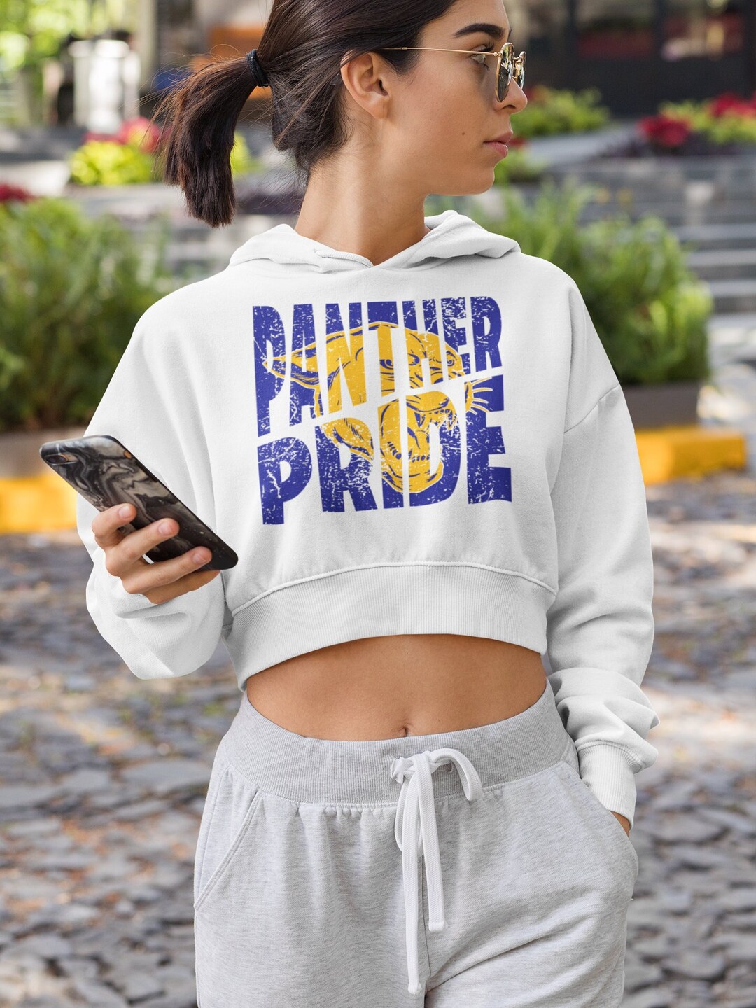 Panthers Team Distressed Digital Design Png for T-shirts. - Etsy