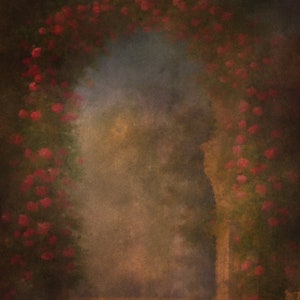36 Victorian Digital Backdrops, Antique Portrait Backgrounds, Fancy ...