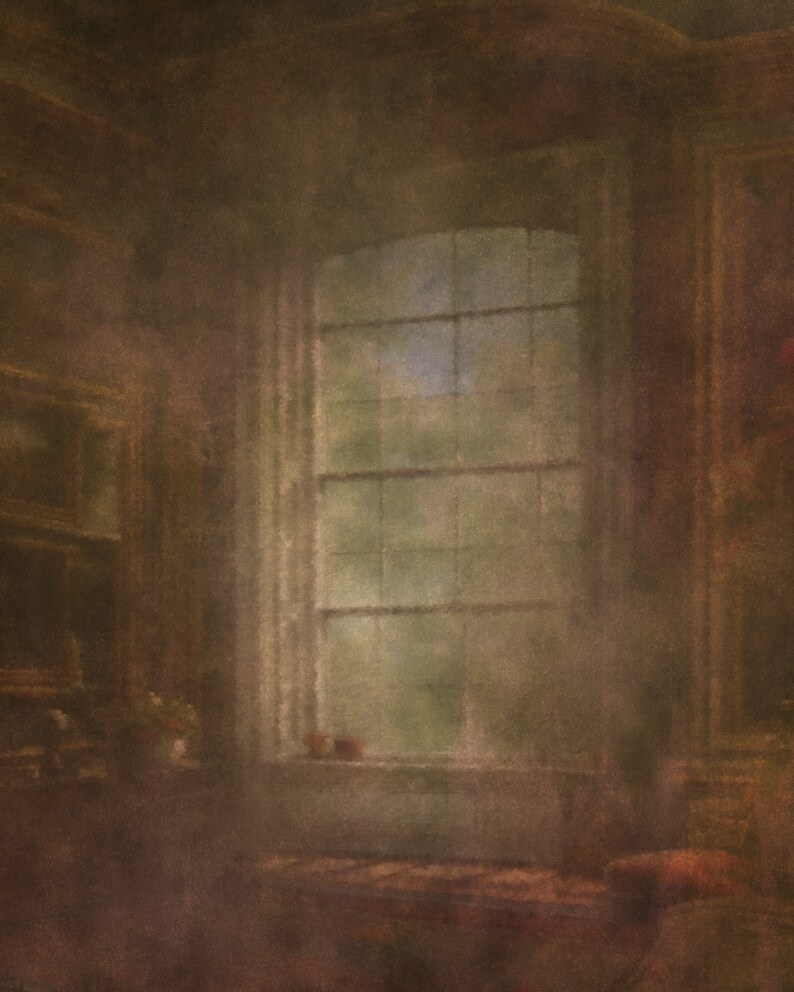 36 Victorian Digital Backdrops, Antique Portrait Backgrounds, Fancy ...