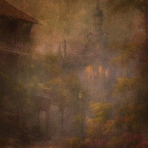 36 Victorian Digital Backdrops, Antique Portrait Backgrounds, Fancy ...