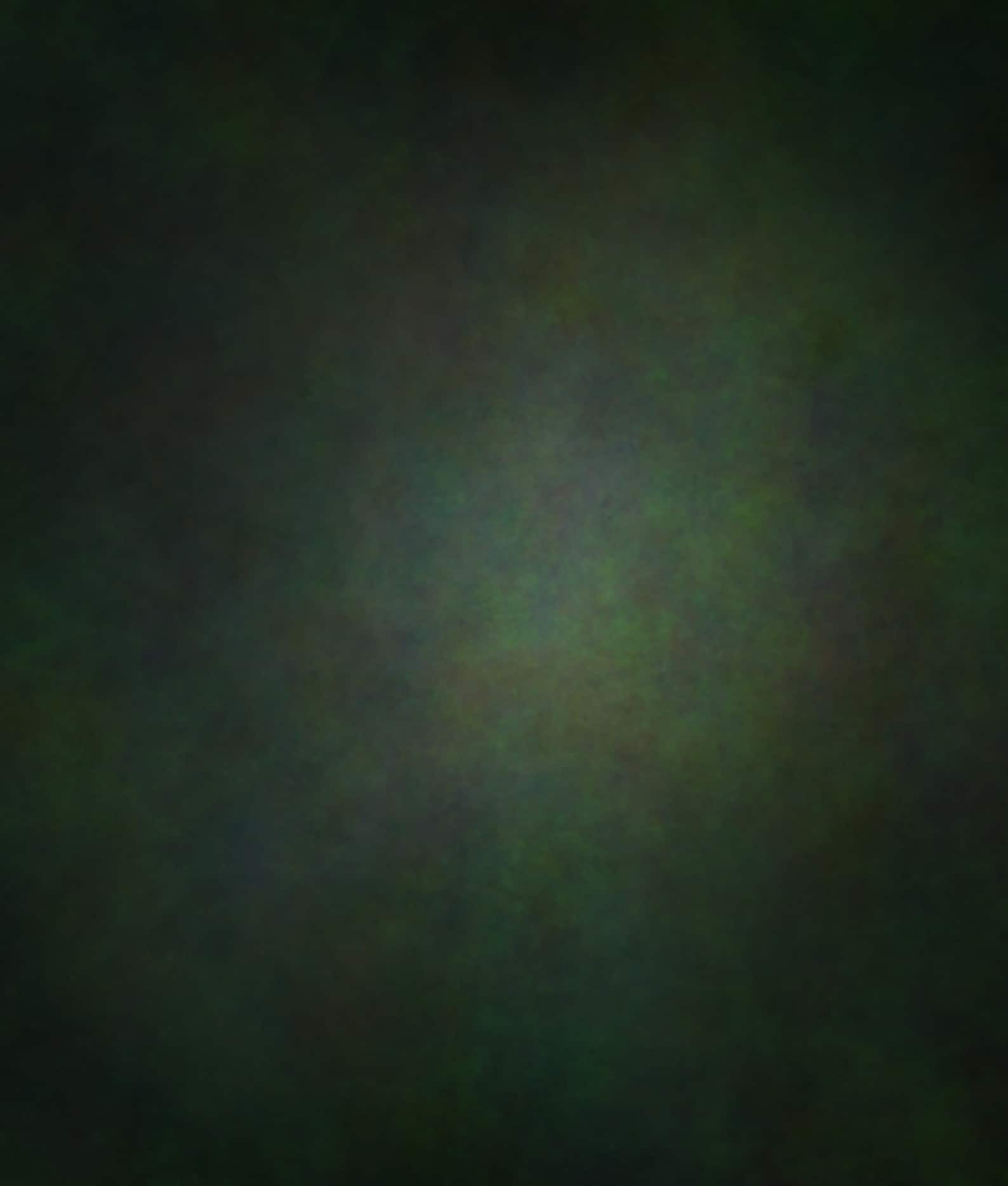 12 Exquisite Studio Backgrounds, Digital Studio Backdrops, Fancy ...