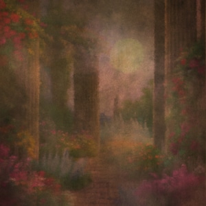 36 Victorian Digital Backdrops, Antique Portrait Backgrounds, Fancy ...