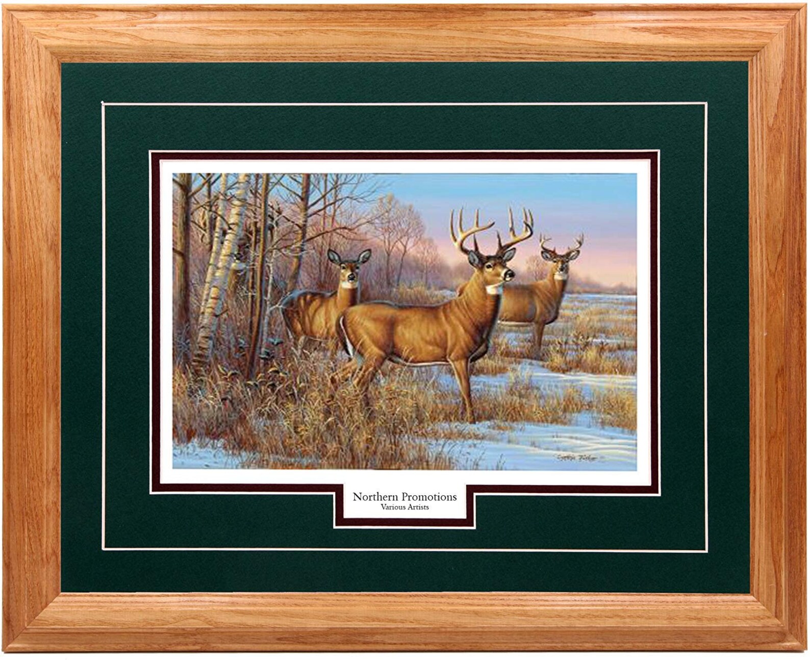 Whitetail Deer Framed Art – Solid Hardwood Frame, Double Mat - Etsy