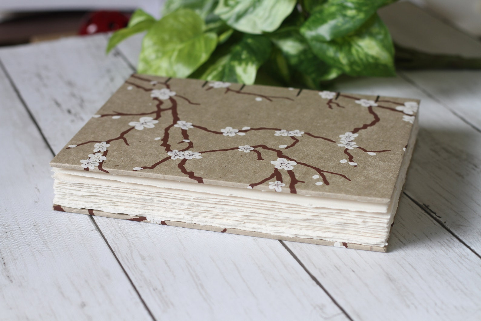 Handmade Watercolor Sketchbook Arches, Brown Plum Blossom, Portrait - Etsy