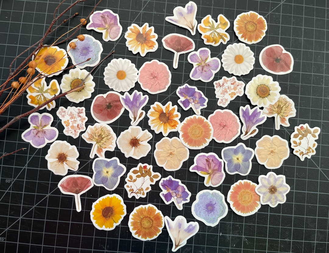 Bloom | Flower Stickers | Scrapbooking and Journaling Supplies - Etsy