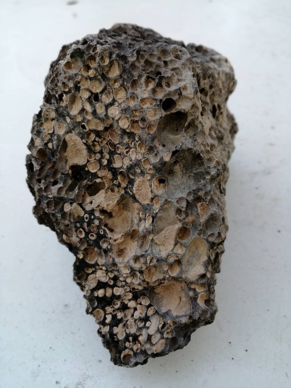 Volcanic Ash Rock