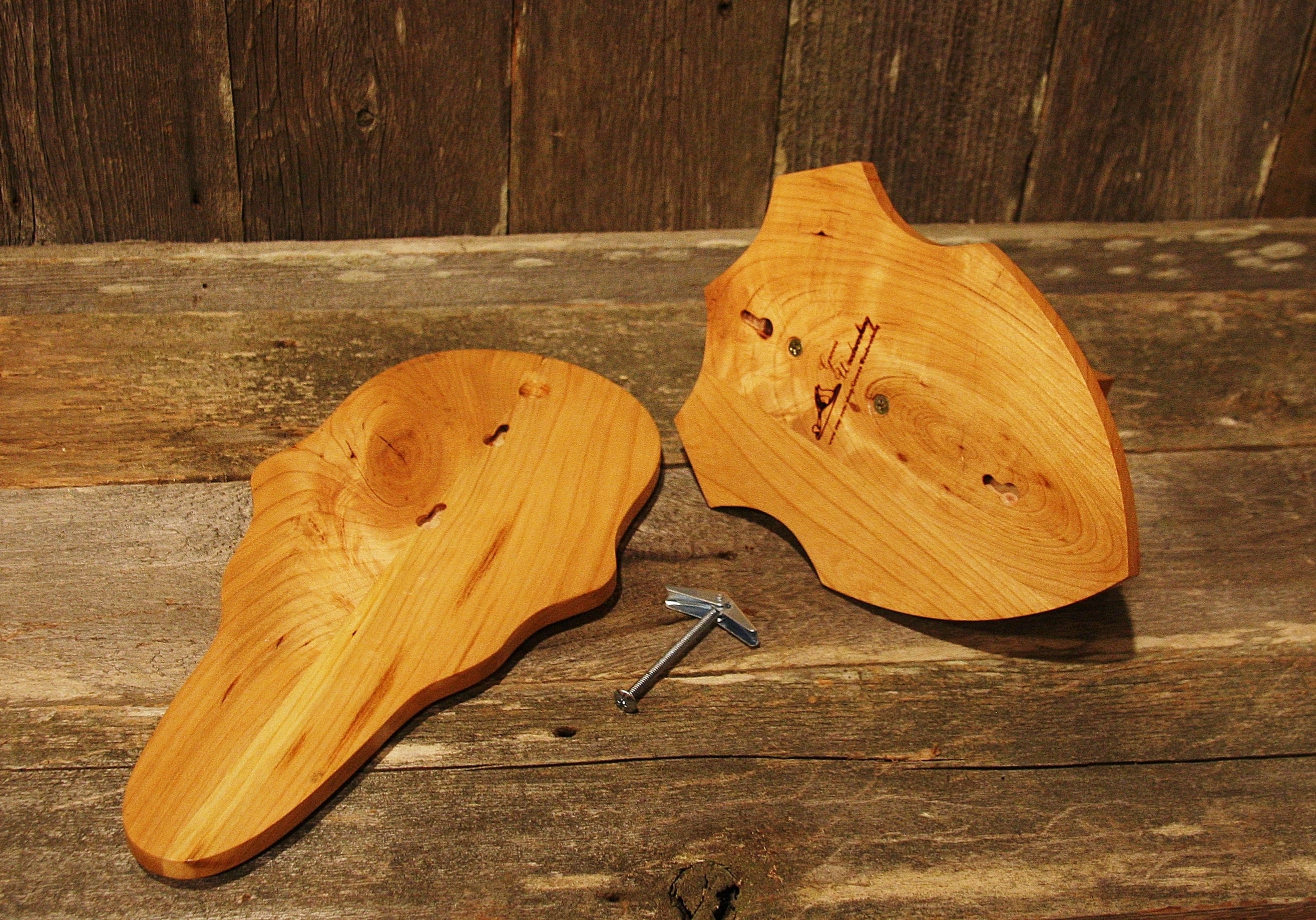 Cherry European Antler Mount Deer Skull Mount Plaque Display - Etsy