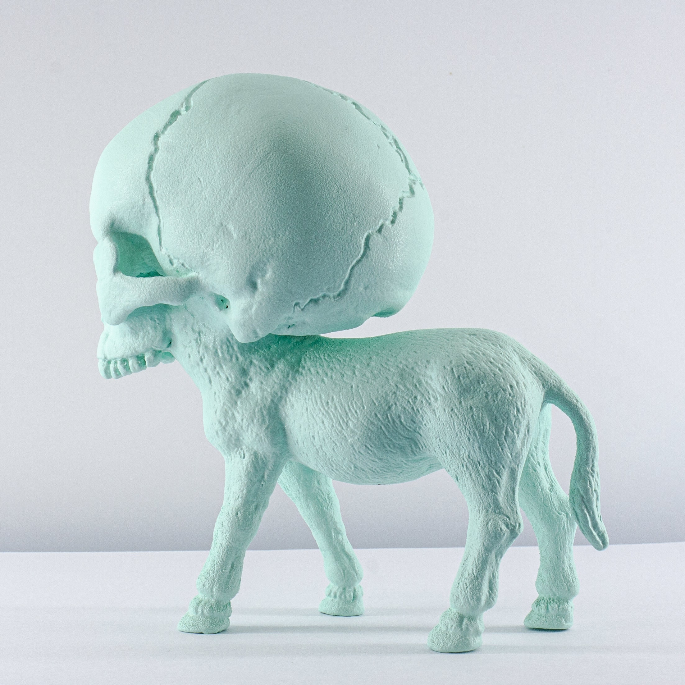 Large Skull With a Donkey's Body - Etsy