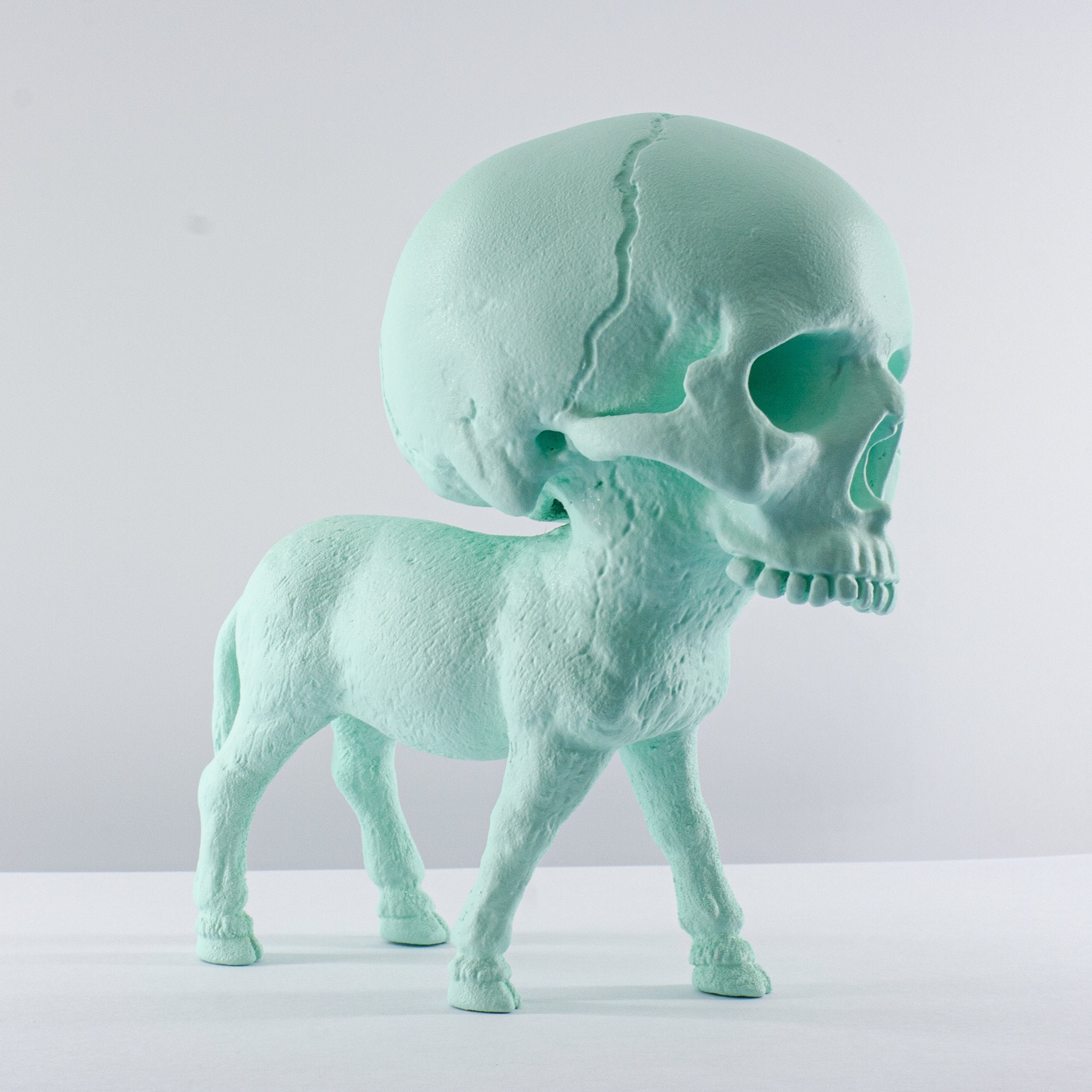 Large Skull With a Donkey's Body - Etsy
