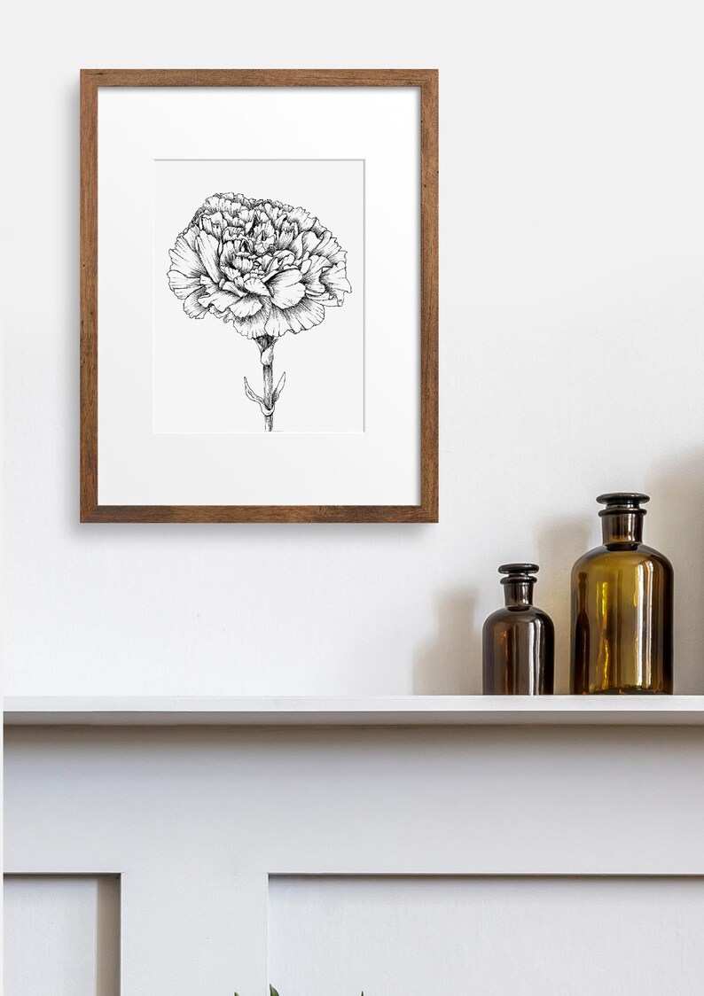 Discounted Ink Carnation Drawing - Black & White January Birth Flower ...