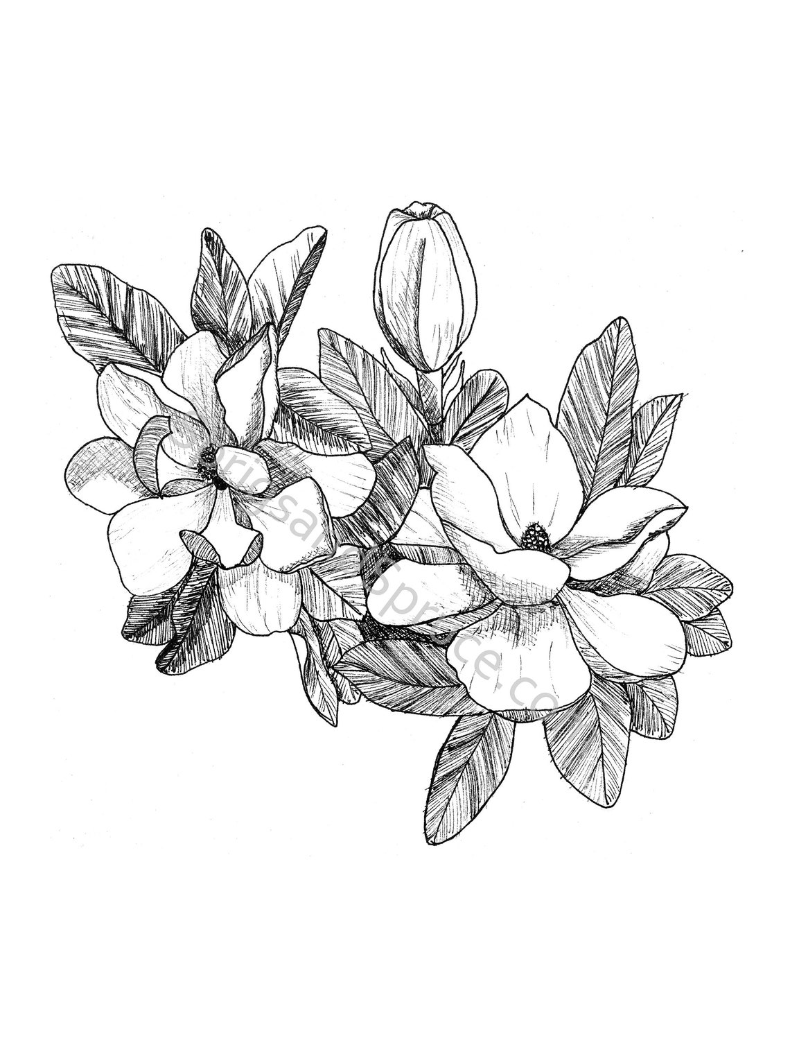 Magnolia Ink Drawing Floral Ink Drawing Botanical Wall Art | Etsy