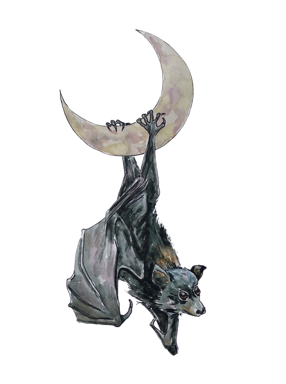 Lunar Bat Crescent Moon Flying Fox Sticker Magnet - Etsy