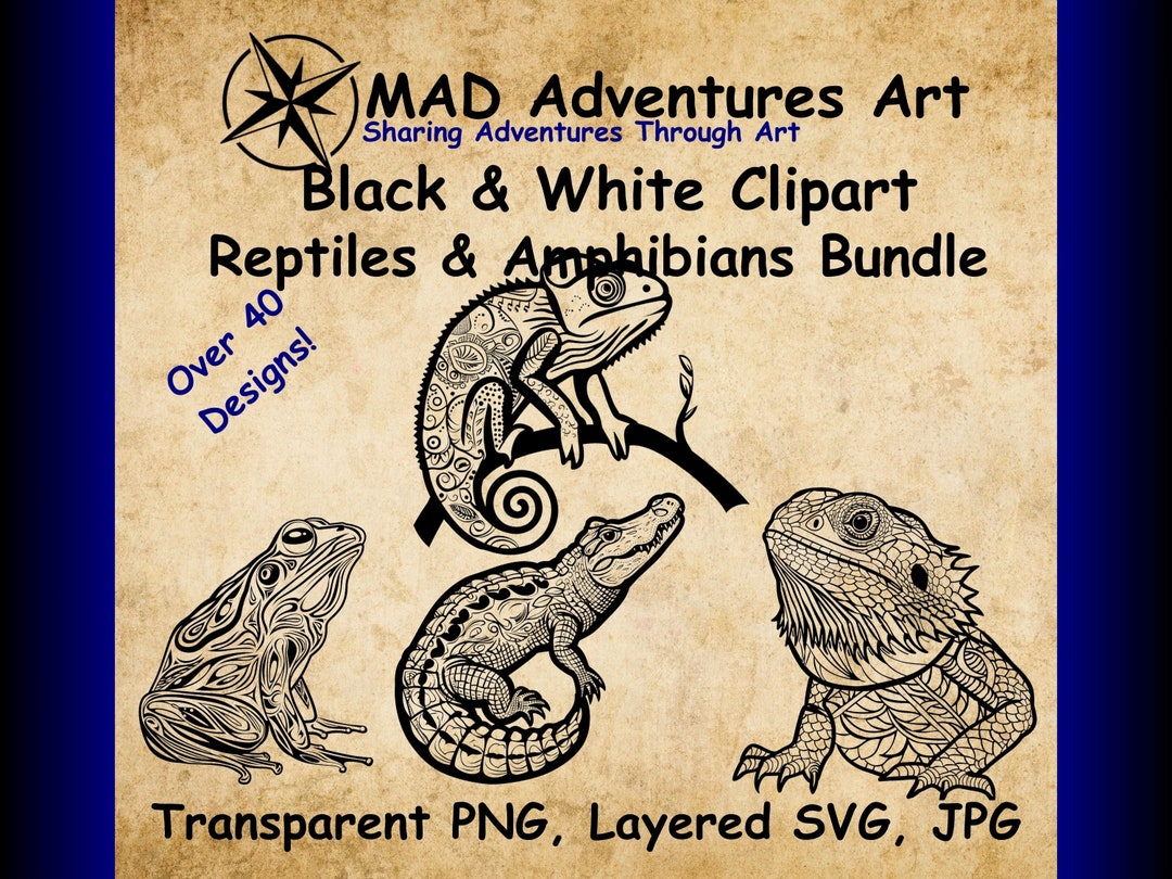 40+ Black/white Reptile/amphibian Bundle With Beautiful Designs - PNG ...