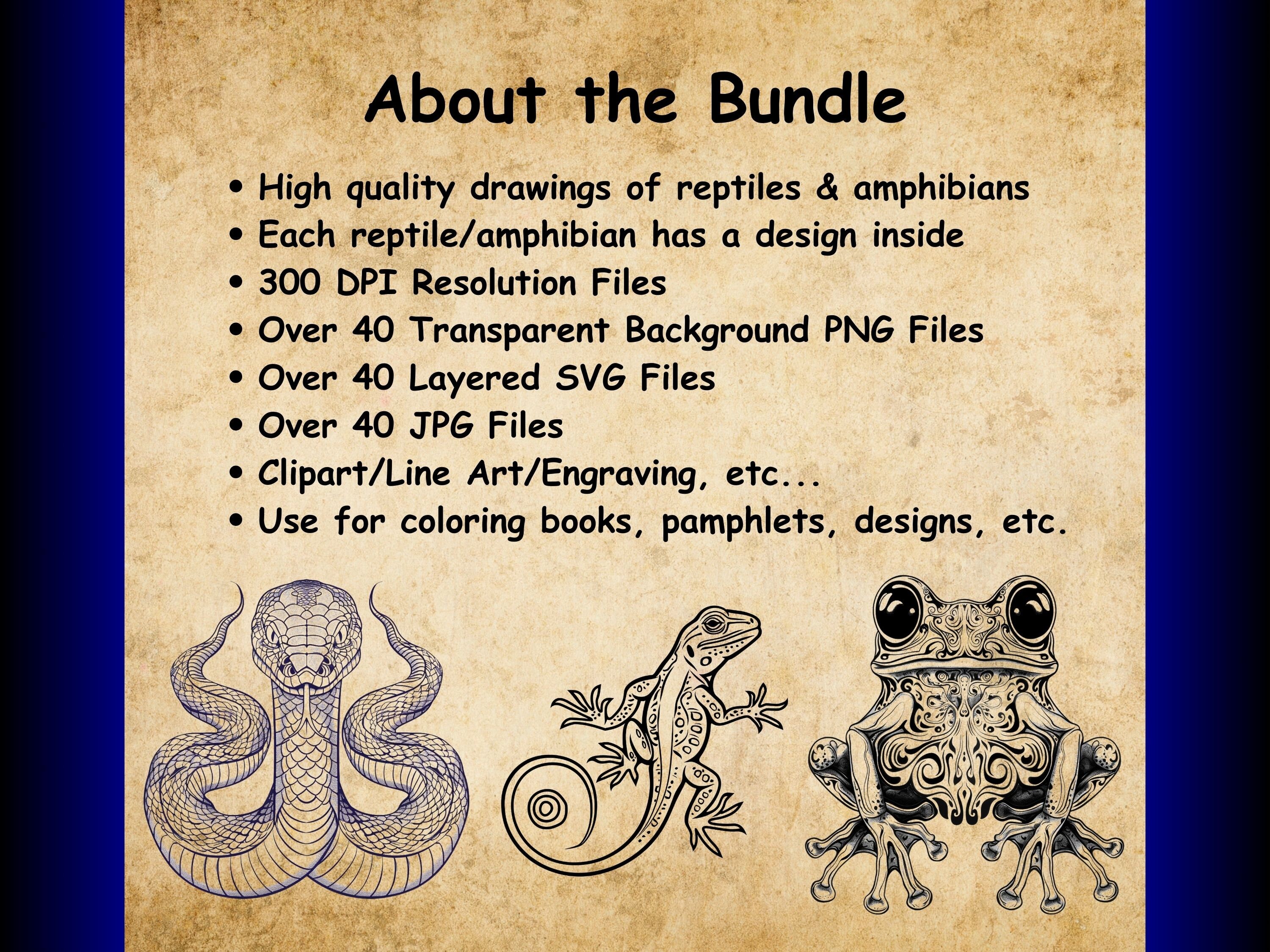 40+ Black/white Reptile/amphibian Bundle With Beautiful Designs - PNG ...