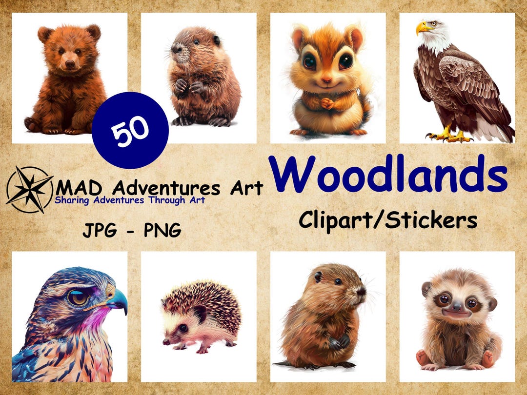 50 Woodlands Creatures Clipart Pack - PNG & JPG Digital Files for ...