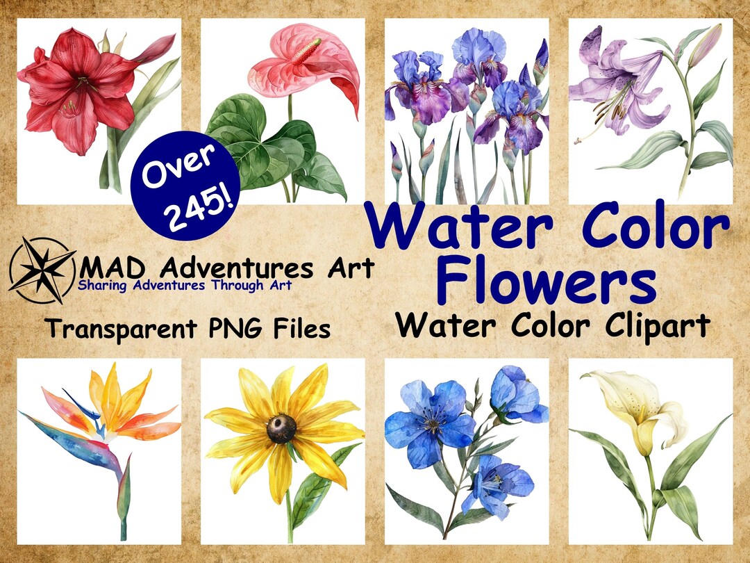 Vibrant Watercolor Flowers Clipart Bundle - 245+ Colorful Designs - Use ...