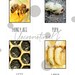 PRINTABLE Honey Bee Life Cycle Matching Cards Identification - Etsy