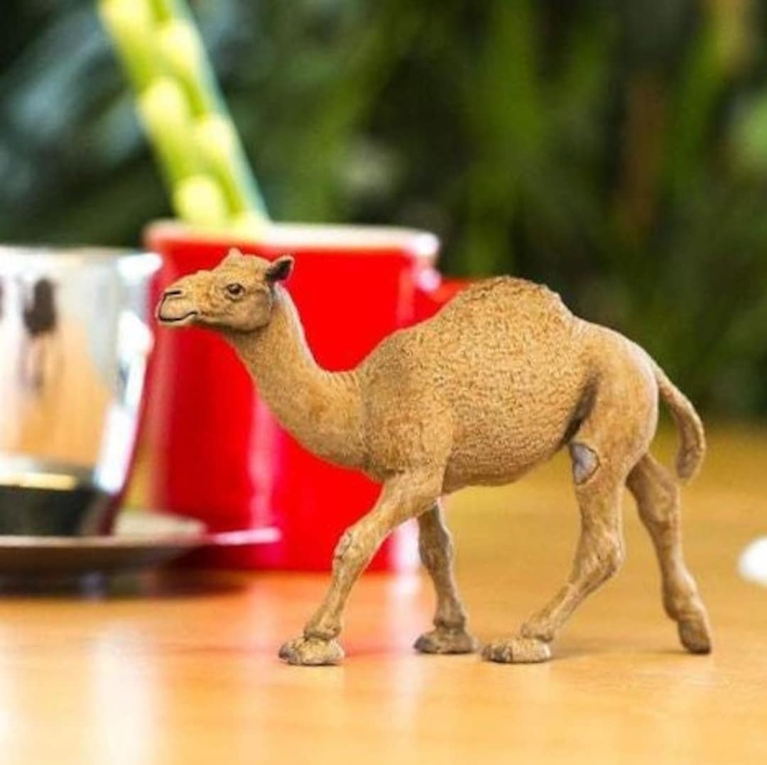 DROMEDARY CAMEL Figurine Figures Large Miniature Figurines - Etsy
