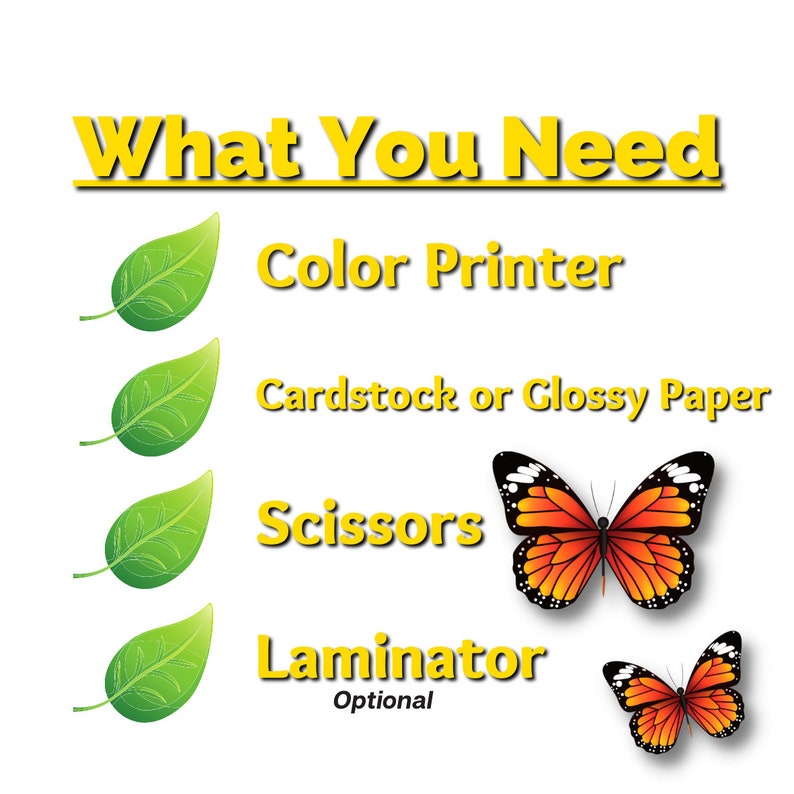 PRINTABLE Matching Cards Identification Flash Cards Monarch - Etsy