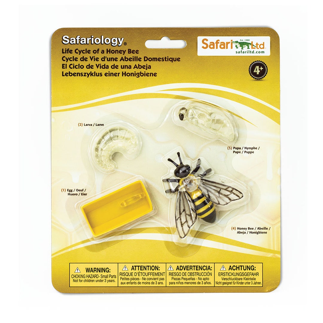 Life Cycle of a Honey Bee Figurine Homeschool Learning Tool Home ...