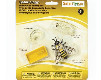 Life Cycle of a Butterfly Figurine Homeschool Learning Tool Home ...