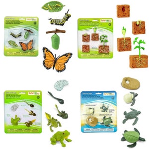 Life Cycle of a Butterfly Figurine Homeschool Learning Tool | Etsy