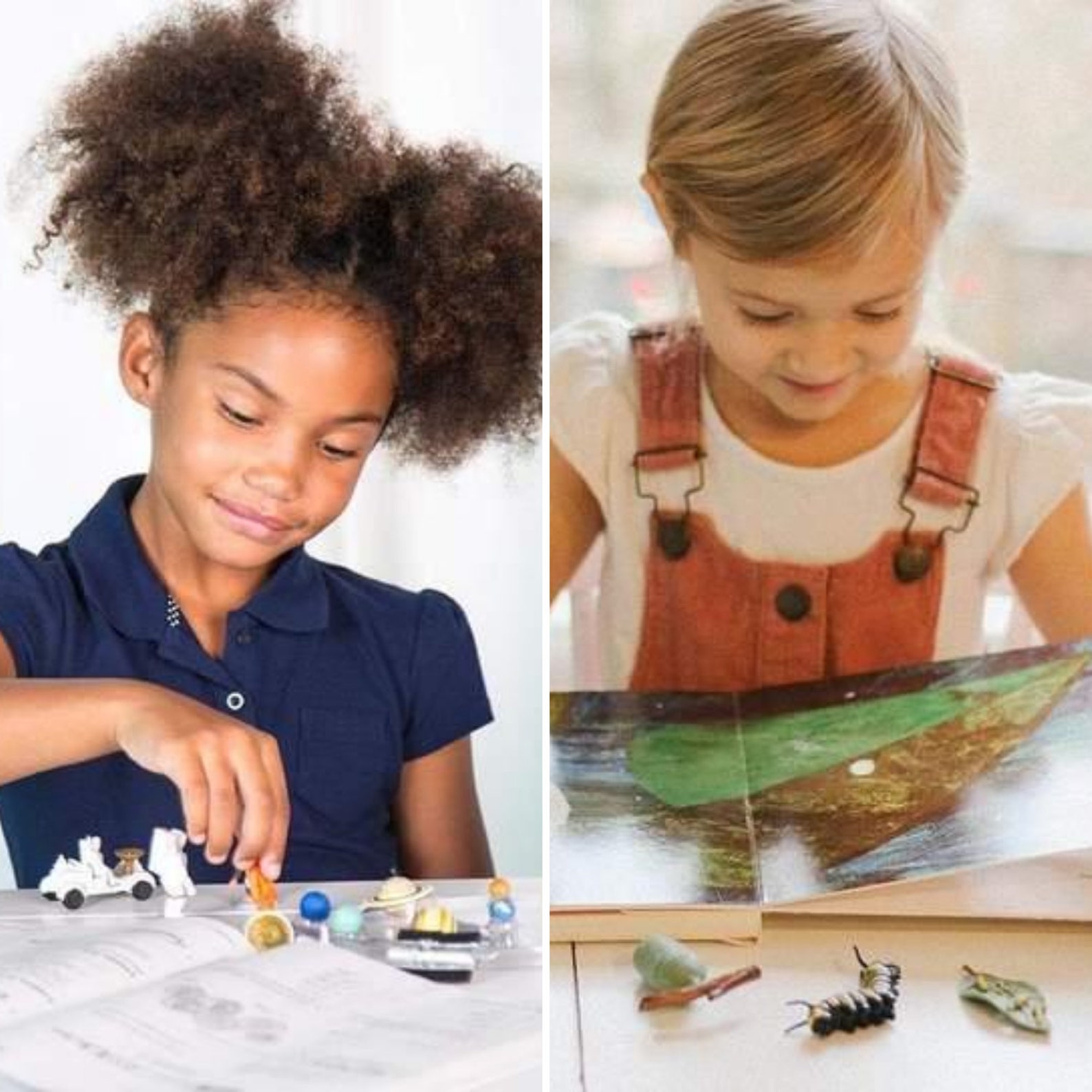 FLASH CARDS Plus Butterfly Figure Set Matching Cards Life - Etsy