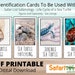 FLASH CARDS PRINTABLE: Green Sea Turtle Life Cycle Matching Cards ...