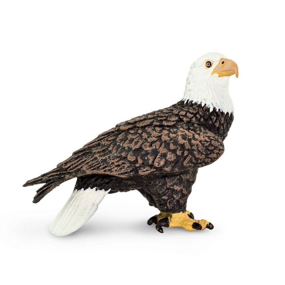 BALD EAGLE Bird Animal Figurine Figure Large Miniature Figurines Realistic Plastic Model Safari ...