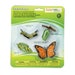 Life Cycle of a Butterfly Figurine Homeschool Learning Tool Home ...