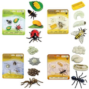 Life Cycle of a Butterfly Figurine Homeschool Learning Tool | Etsy