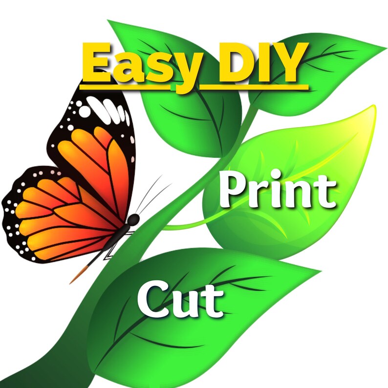 PRINTABLE Matching Cards Identification Flash Cards Monarch - Etsy