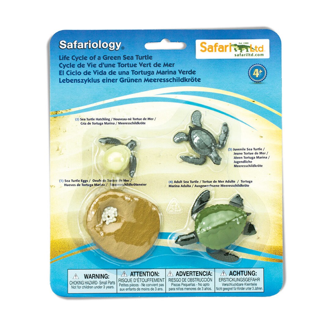 Life Cycle of a Sea Turtle Figurine Miniatures Homeschool Learning Tool ...