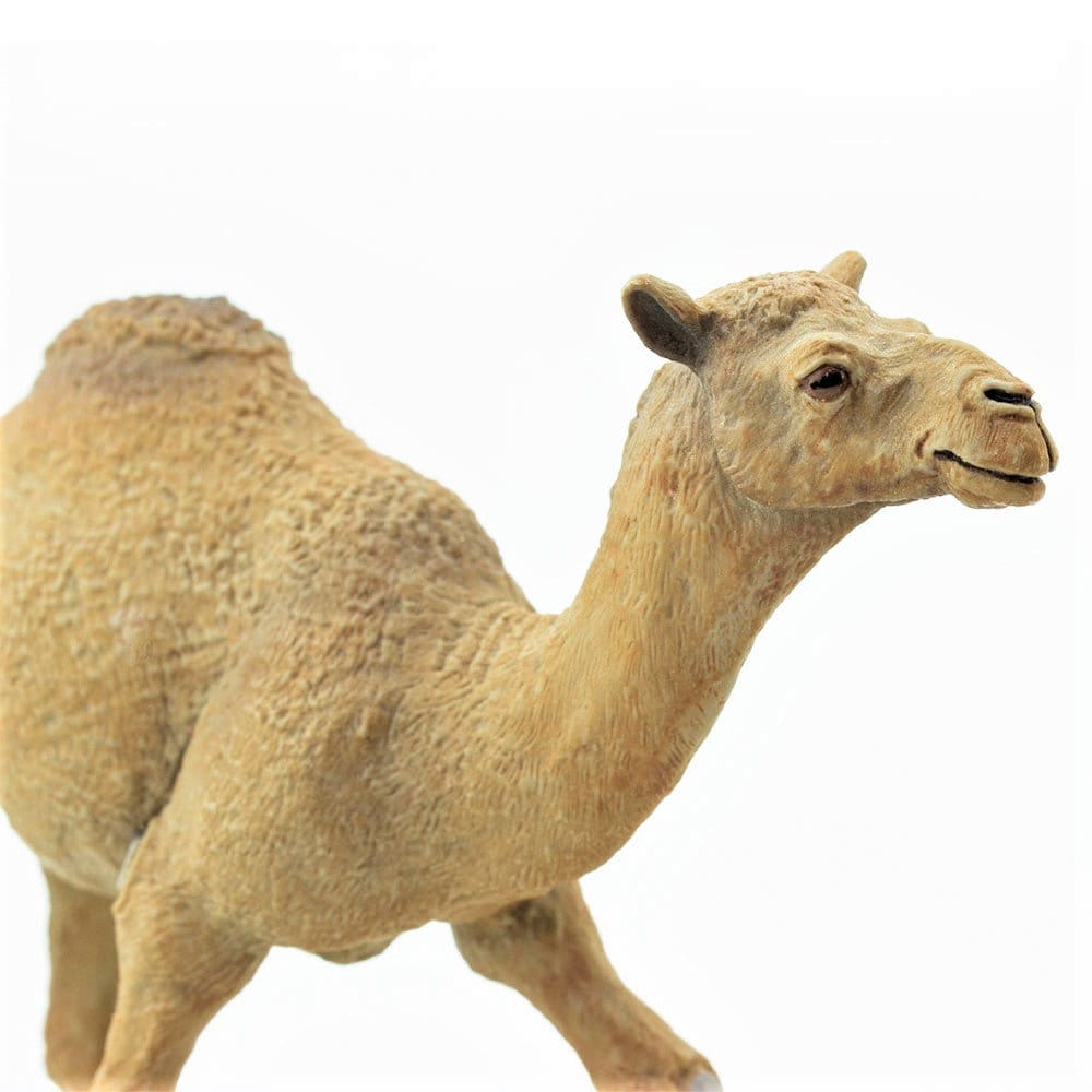 DROMEDARY CAMEL Figurine Figures Large Miniature Figurines Plastic ...
